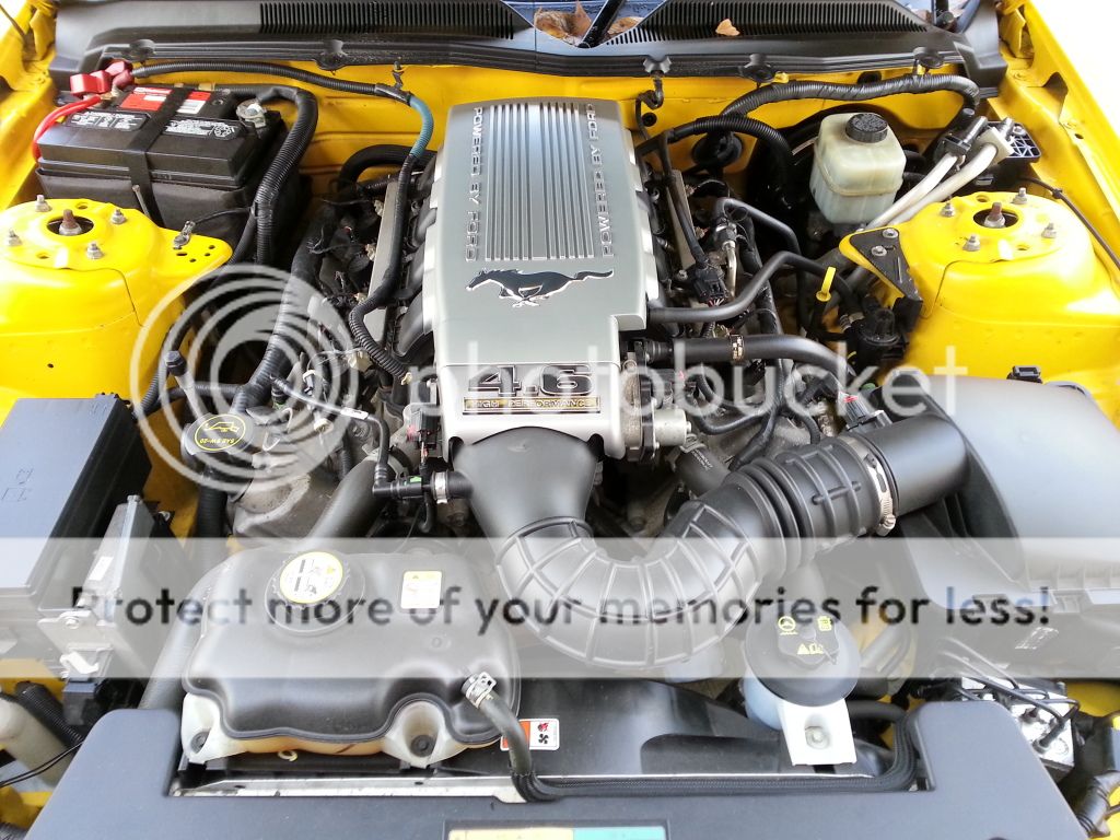 my first engine mod | S197 Mustang Forum - S197Forum.com